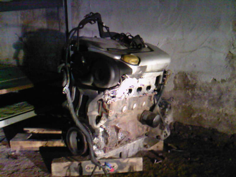 X16XEL Motor 1.6 16V 74kW 100PS aus Astra F : Biete Opel